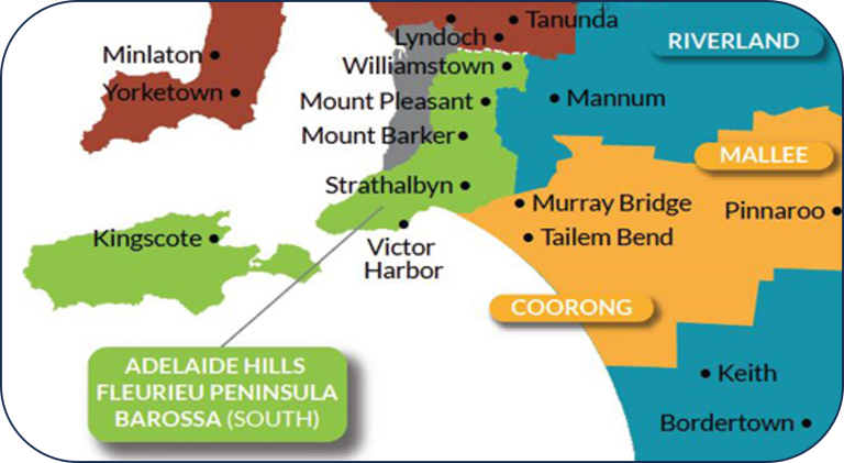 Care Finder Program - Summit Health